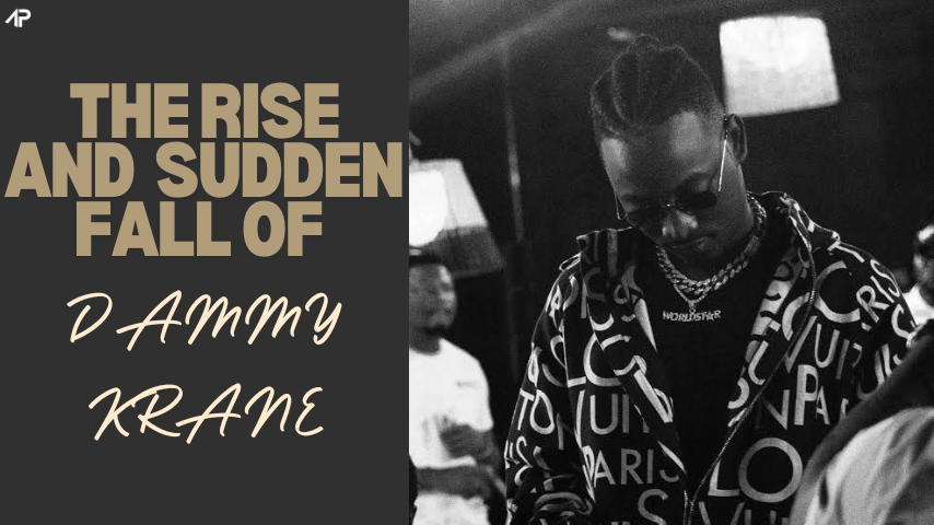 The Rise And Shocking Fall 0f Dammy Krane, How Did It All Started ...